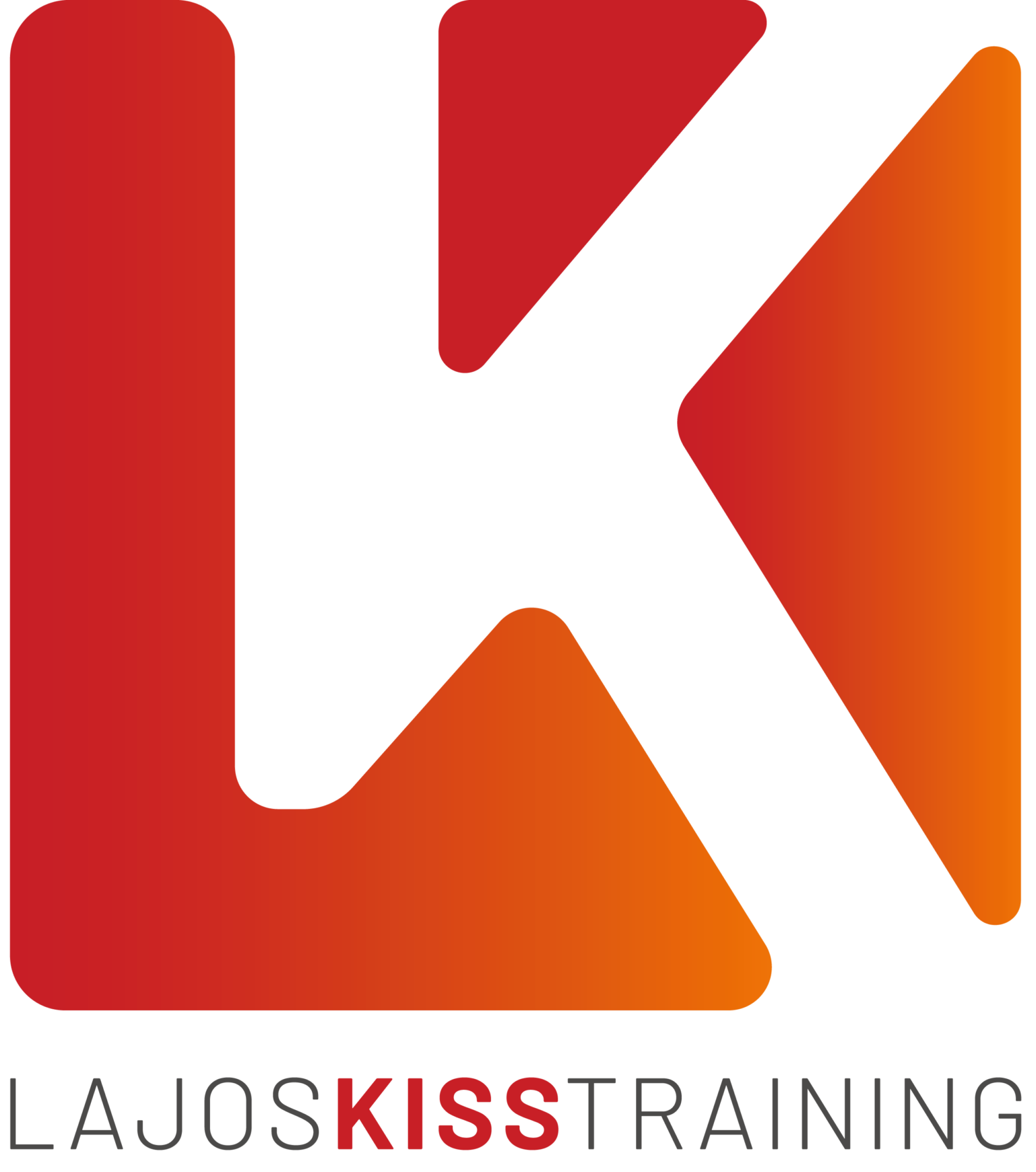 High Performance Experte aus Heidelberg - Lajos Kiss Training